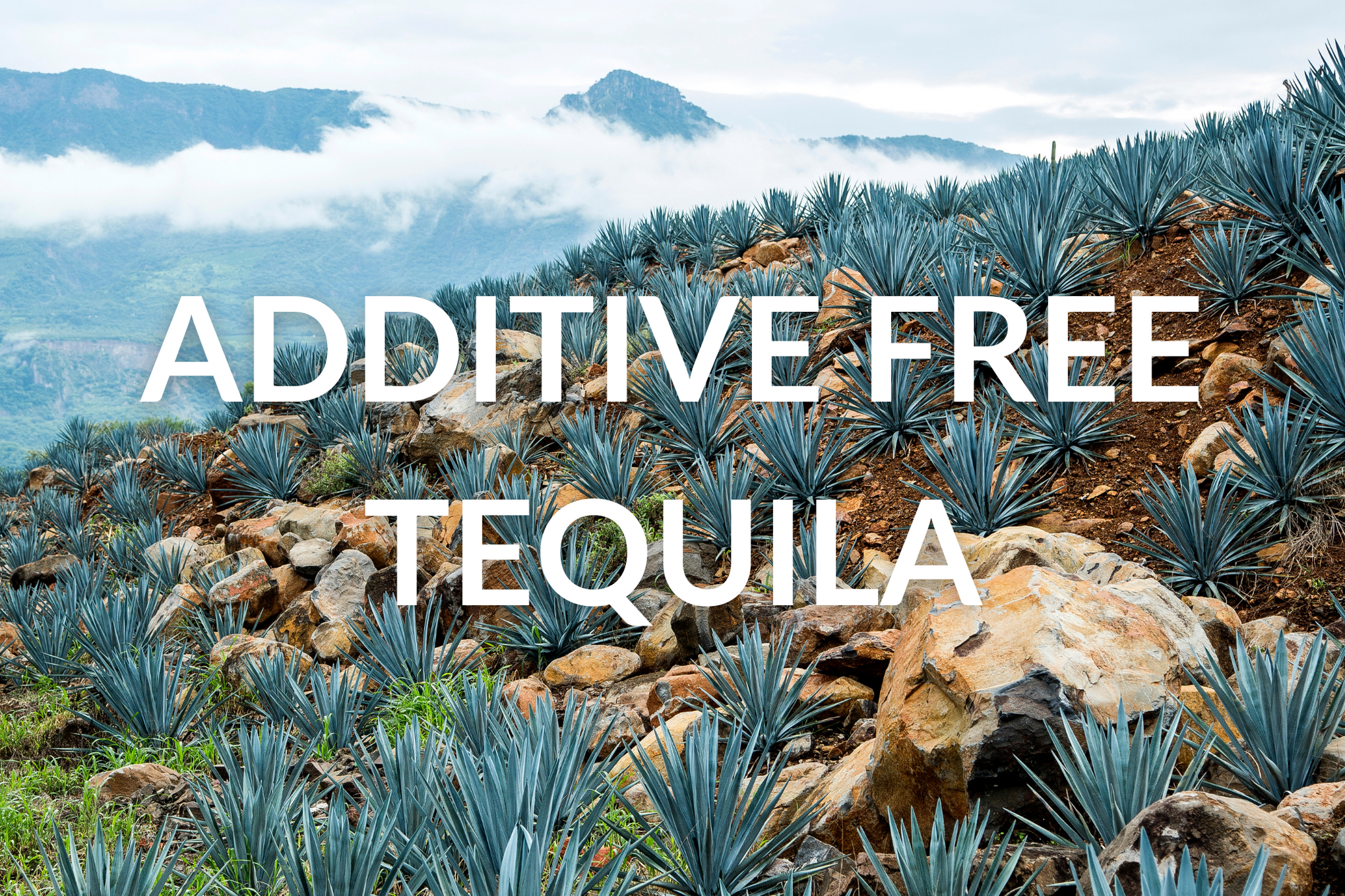 Additive Free Tequila — Bogey's Bottled Goods